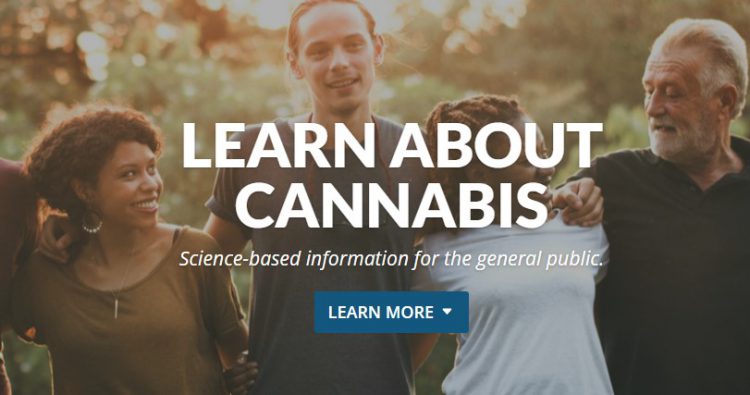 Cannabis & Psychosis | Addictions, Drug & Alcohol Institute